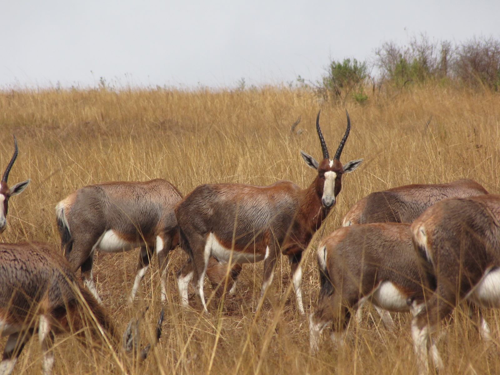 Lil and John meandering through Africa: Oribi George Nature Reserve ...