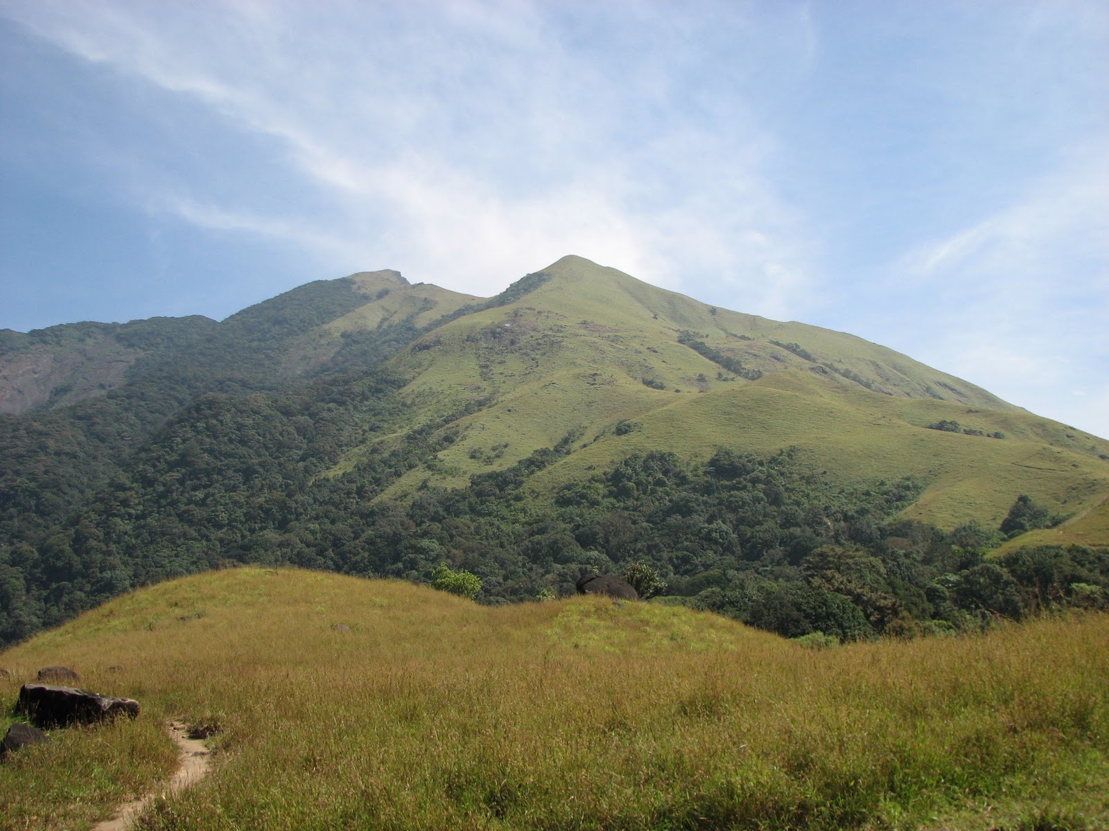 Pushpagiri - JungleKey.in Image