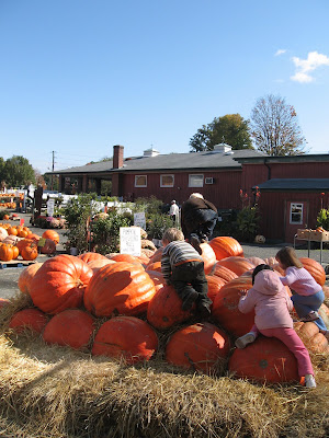 Valley Kid Stuff: Randall's Farm, Ludlow MA