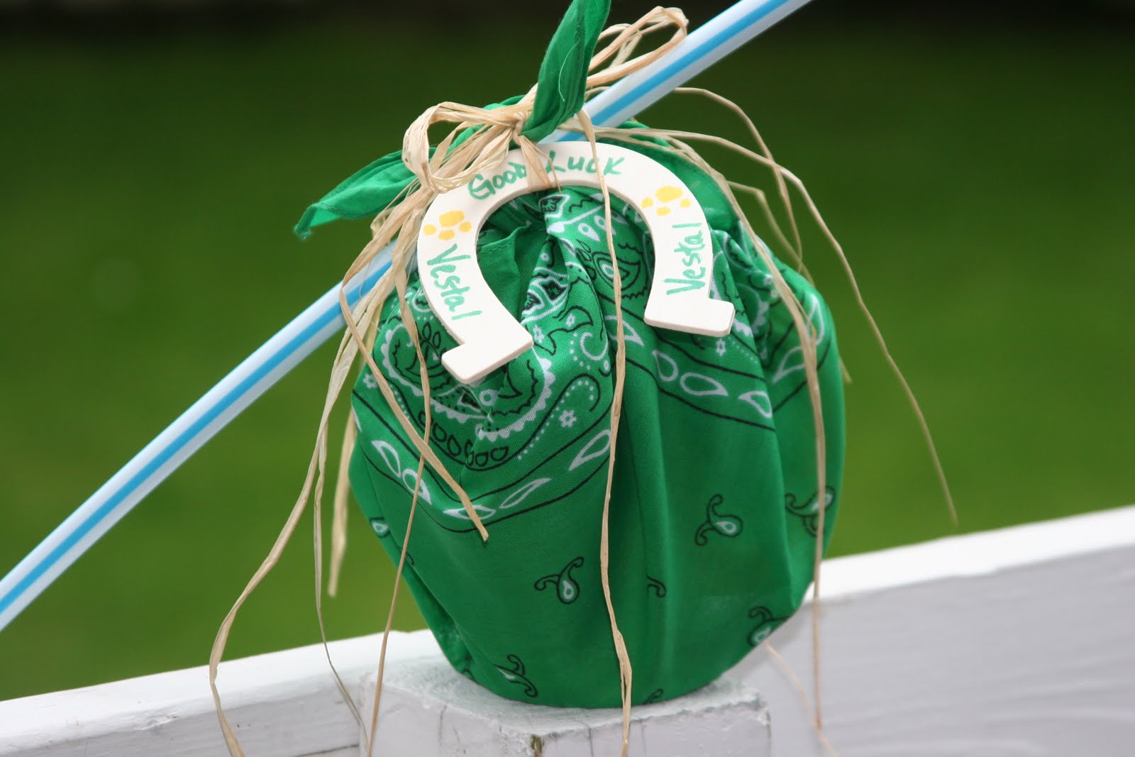 Punkie Pie's Place ...: Hoedown Throwdown Party