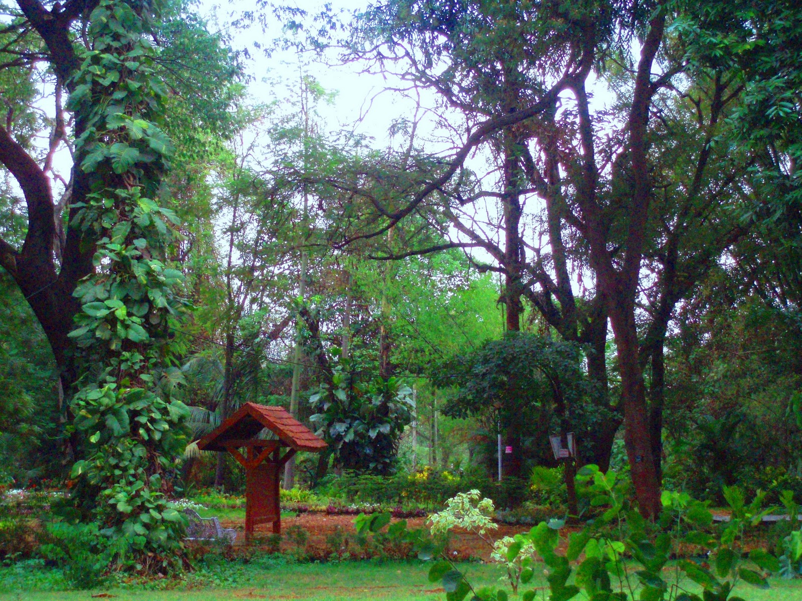 Travelogue Unlimited: Empress Gardens, Pune : A Photo Feature