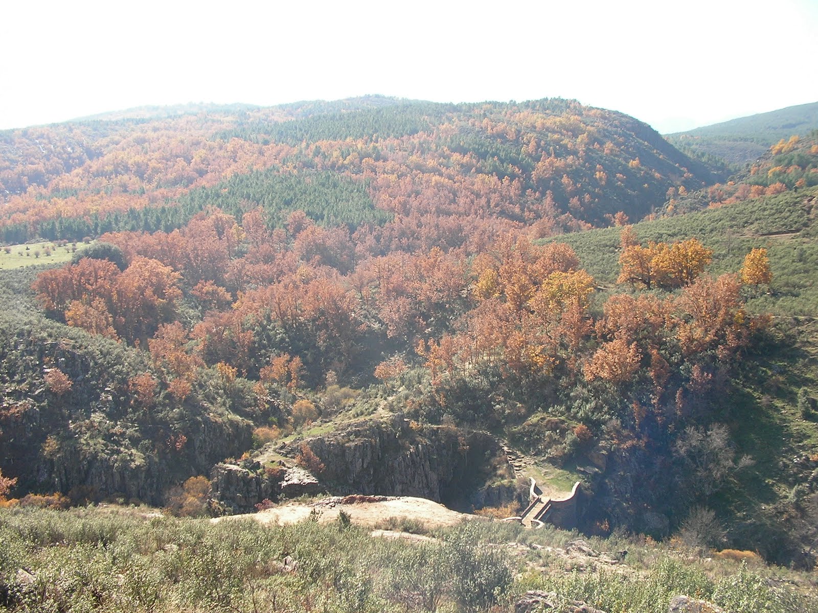 LA VEREDA (GUADALAJARA): OTOÑO EN MATALLANA
