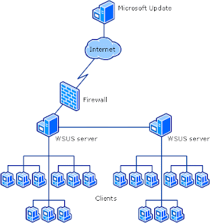 mejora tus conocimientos en networking: Guía paso a paso para empezar a ...