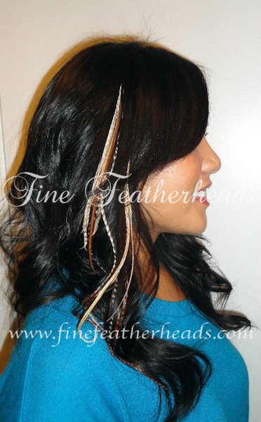 Rita ~ Hurley: Fine Featherheads!