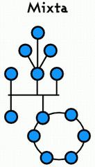 Topología de redes: Red mixta y red totalmente conexa