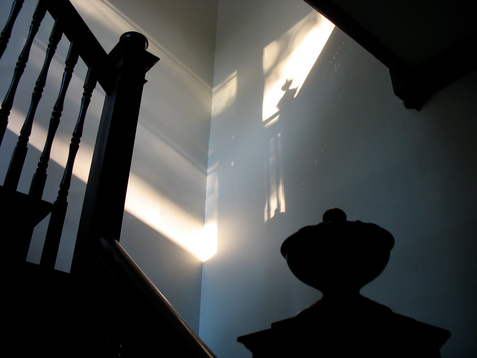 WISHBONE'S blog: Shadows on the wall