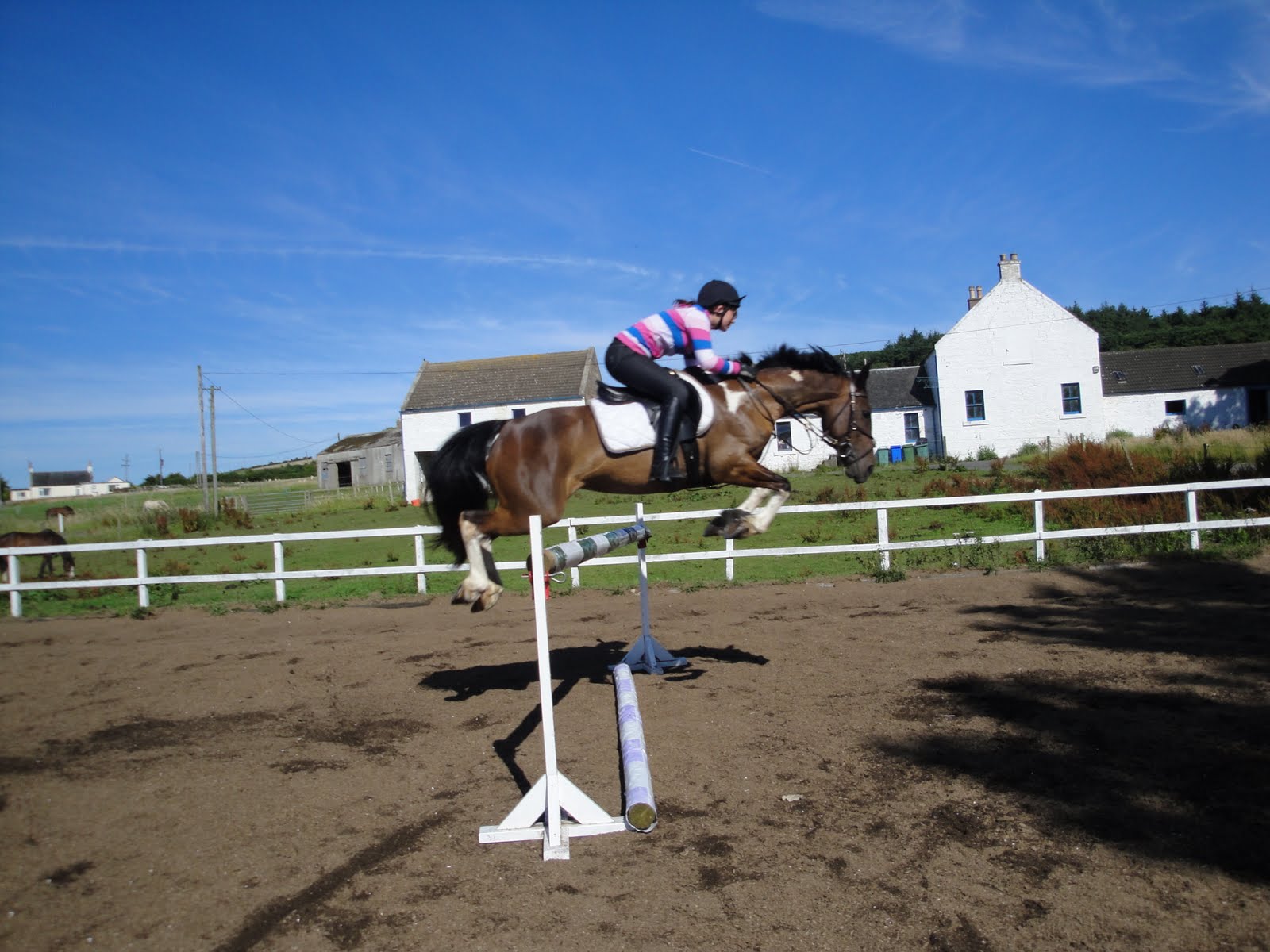 Ayr Riding Club - Classifieds: November 2010