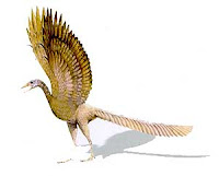 el arqueopterix: el arqueopterix