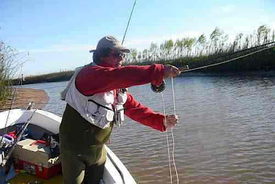 guiadepesca-harry.blogspot.com: Tarariras a puro spinning y Fly-cast