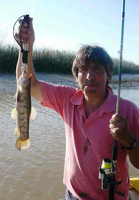 guiadepesca-harry.blogspot.com: Tarariras a puro spinning y Fly-cast