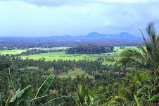 TourismKapatagan: Palayan Festival: The Palayan Festival Synopsis