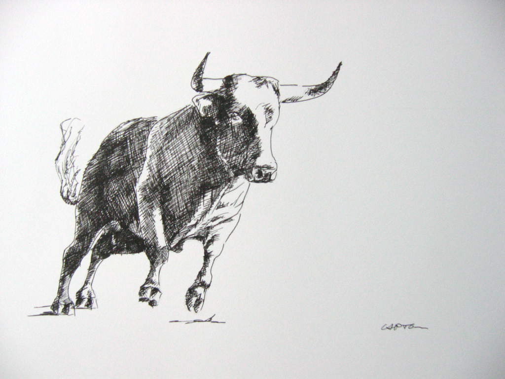 c a p t o n: DESSIN DE TORO