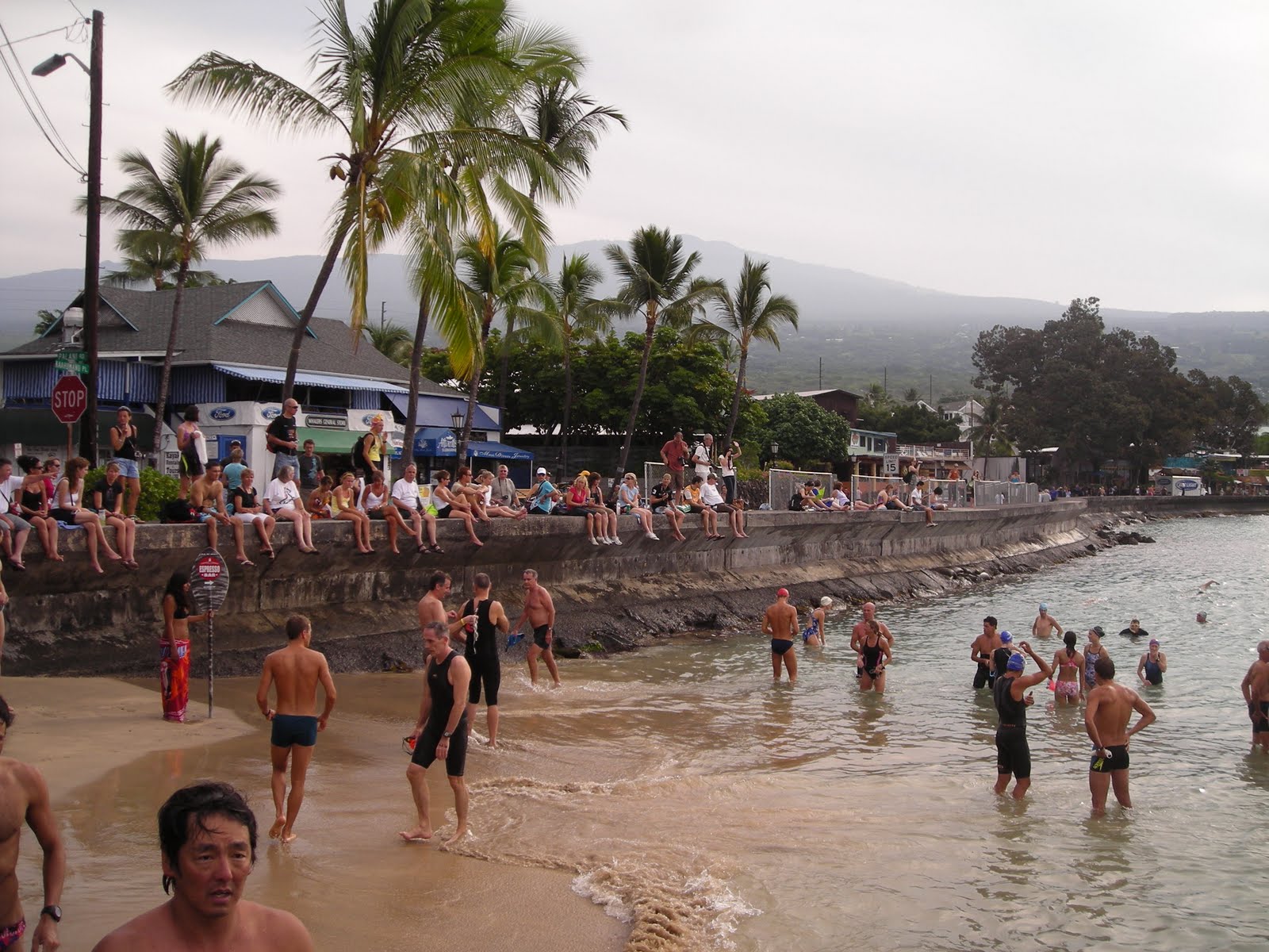 Ever Been Stung By A Jellyfish? by John Post, MD | Rock Star Triathlete ...