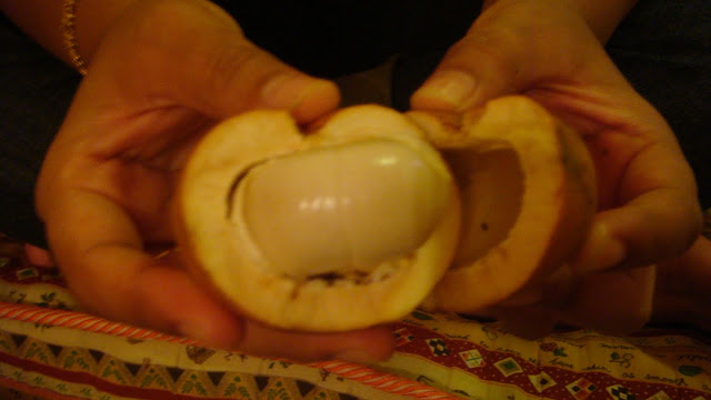the beginner: Buah Tampoi