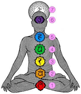 Chakras for Beginners - Understanding the Chakra System and its ...