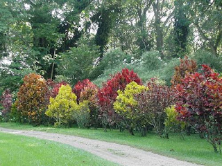 Flora y Fauna: Que es la flora?