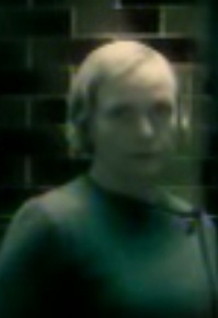 Harry Potter PARALLEL UNIVERSE: Harry Potter Cast of Characters Book 6