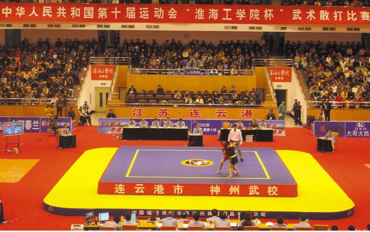 ARTES MARCIALES :::KUNG FU:::: ORIGEN Y SIGNIFICADO DEL SANDA O SANSHOU ...