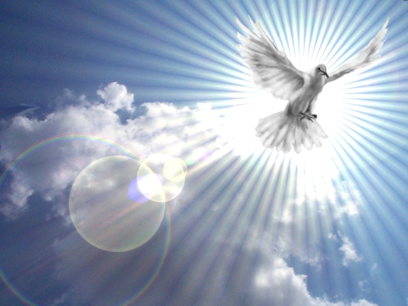 Gracia's Blog: Kumau Cinta Yesus Selamanya Gracia's Blog: Kumau Cinta Yesus Selamanya