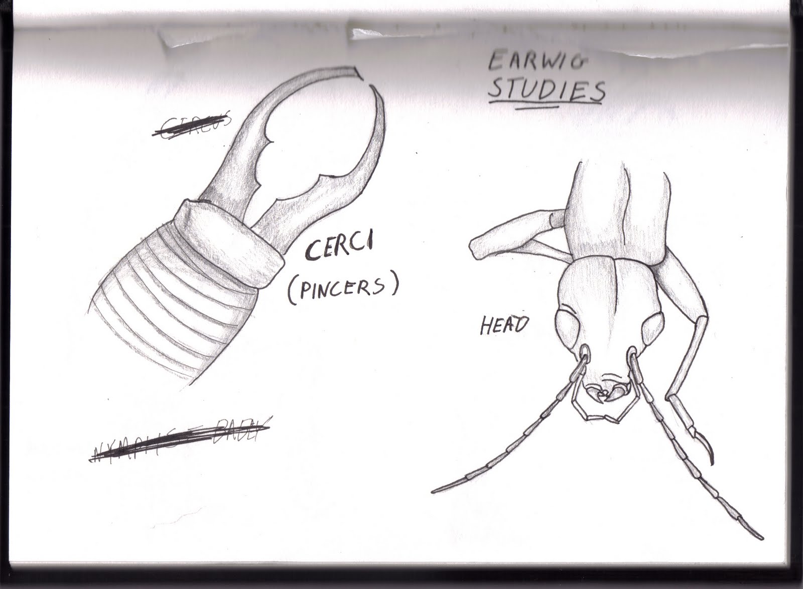 Sam's Blog: Sketchbook