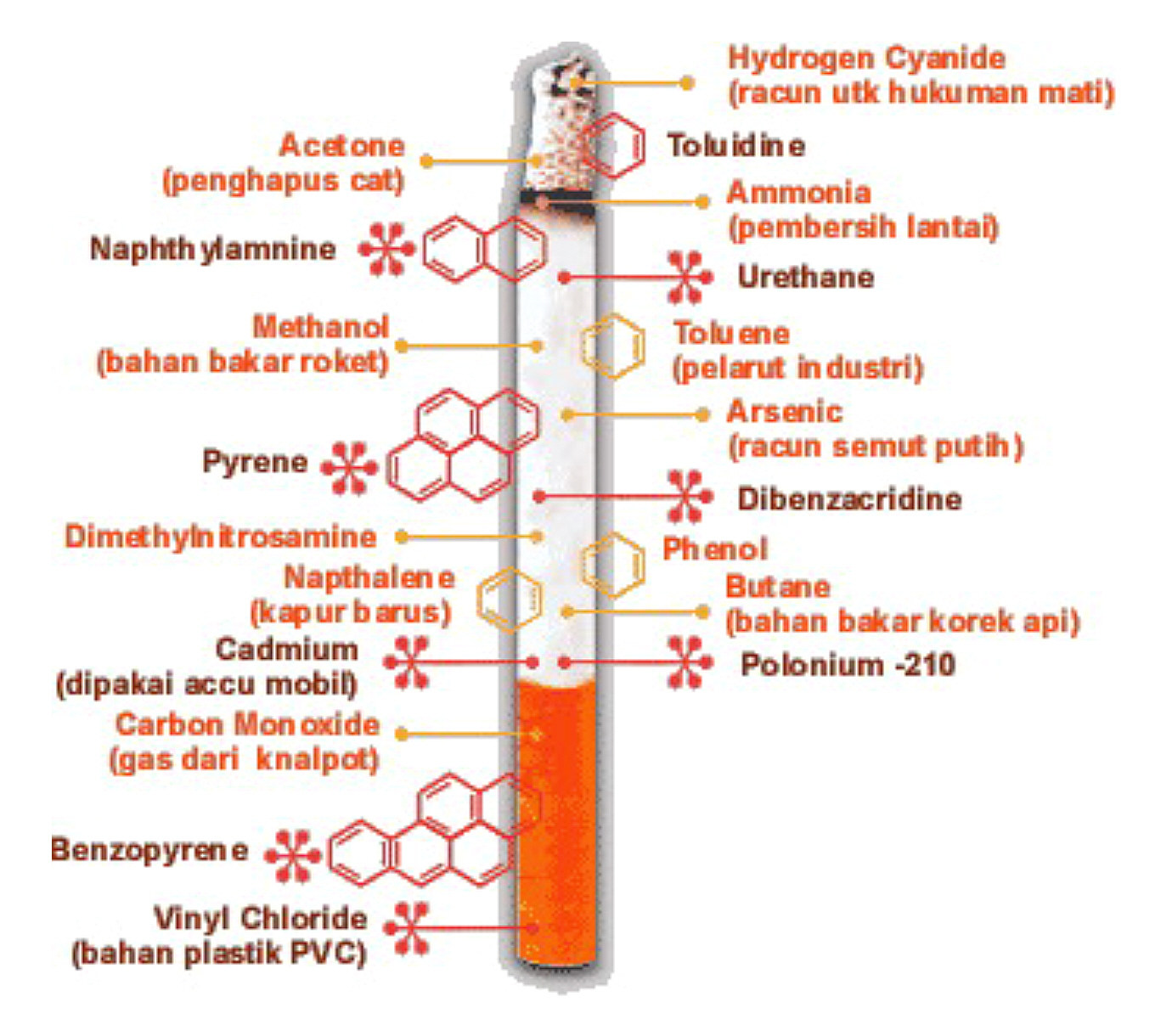 ROKOK itu MENAKUTKAN, kamu tau ga???