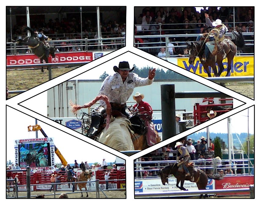 promptings: cloverdale rodeo - photo essay