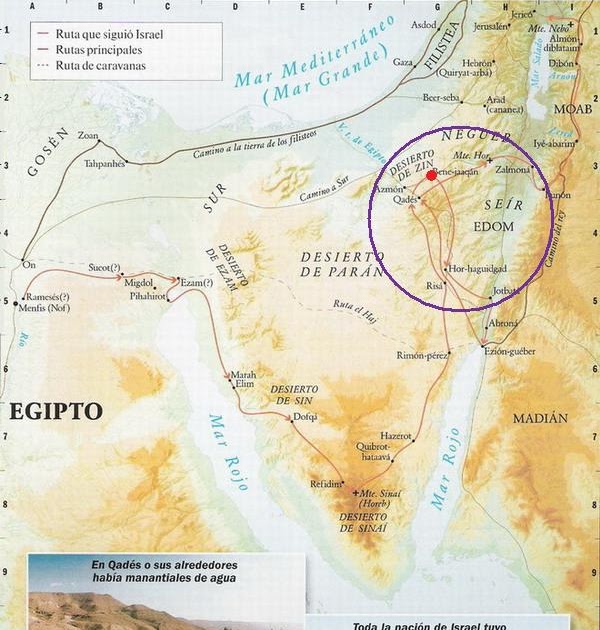 Todo en especial: NOTICIAS DEL MUNDO - El porqué Moisés vagó en el ...