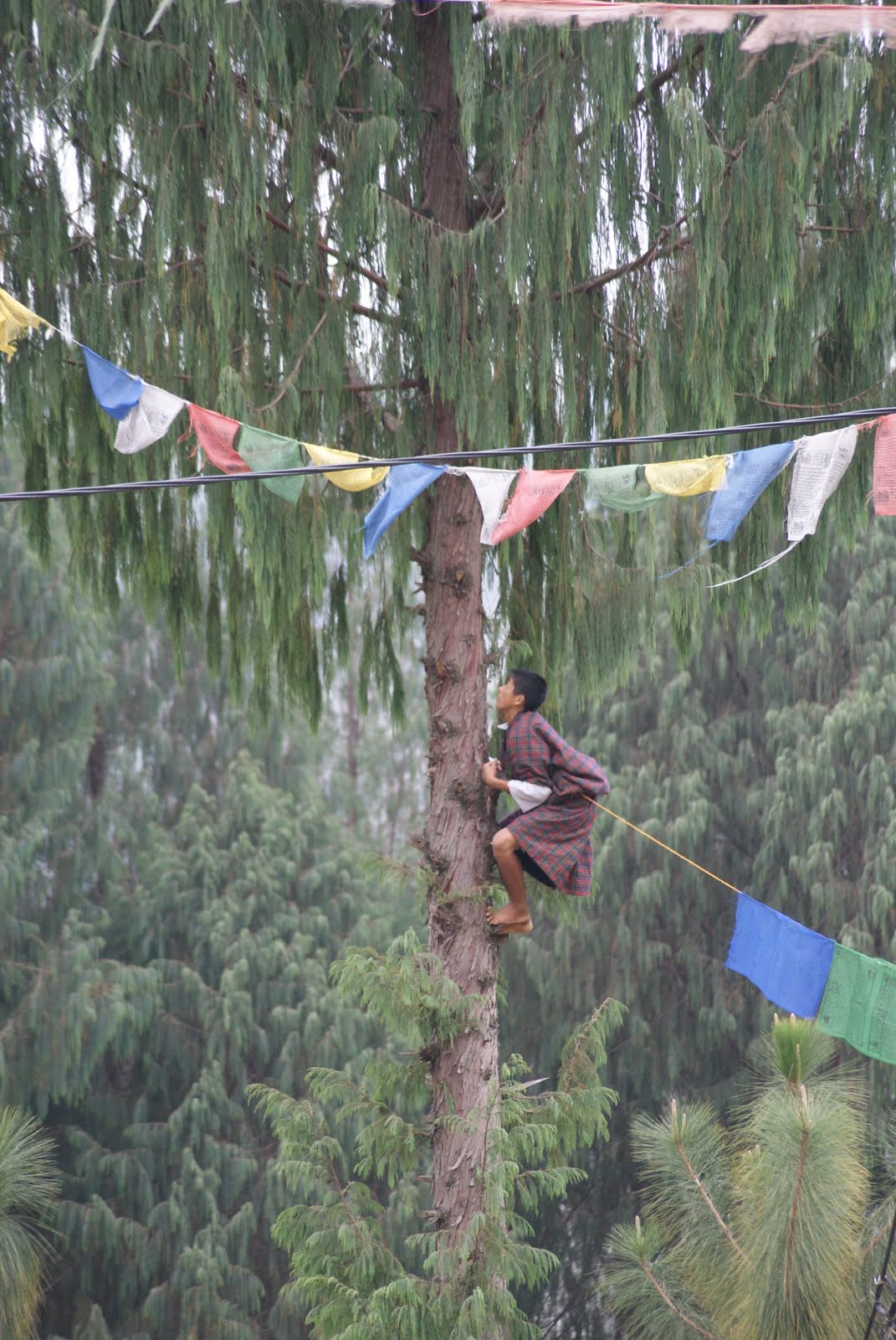 Bhutanlines: Blog #18: Rimdro at JigSher