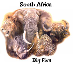 Center for International Sport Business: South Africa's Big Five