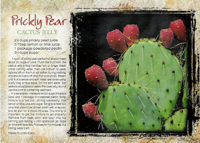 Good Morning Arizona: Prickly Pear Cactus Jelly Recipe