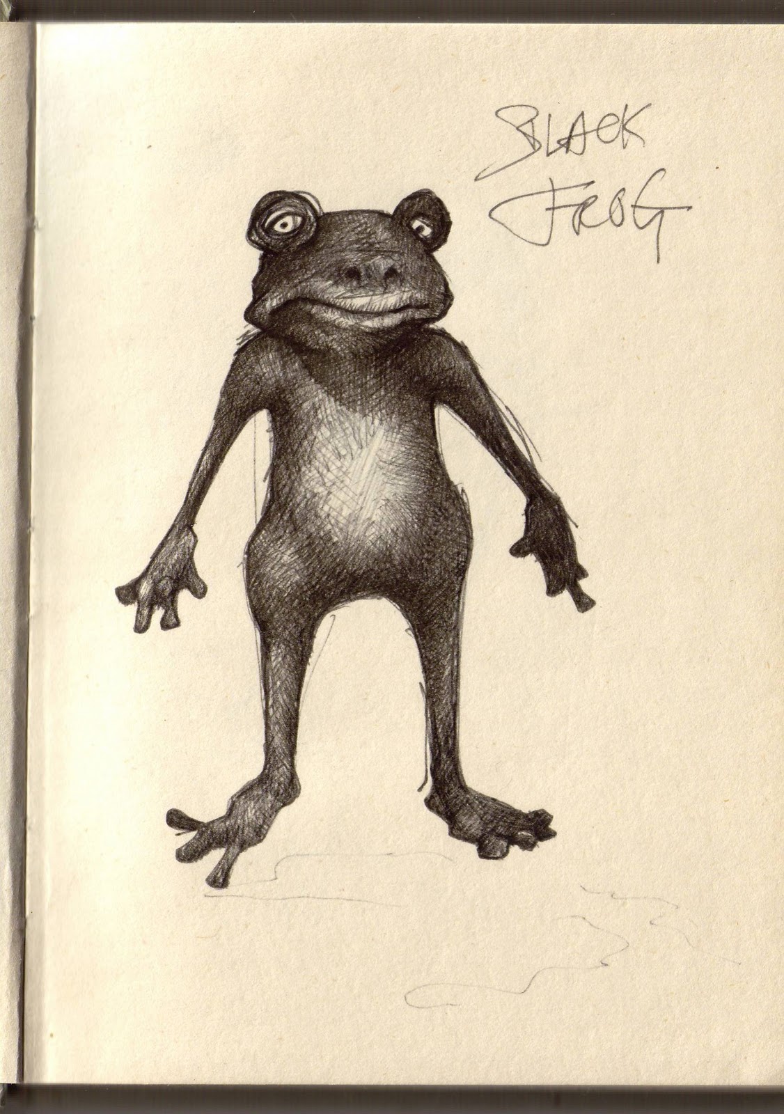Oodles of Doodles: Black Frog