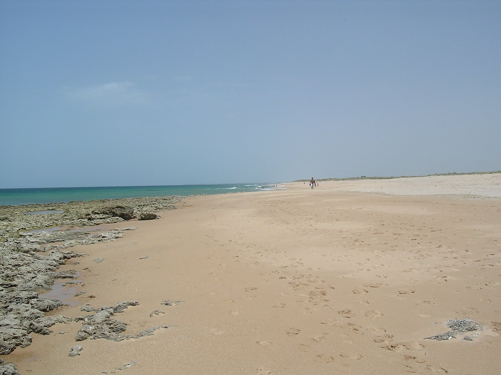 ENTRE TAPAS Y VIAJES: Salvemos la playa del Palmar