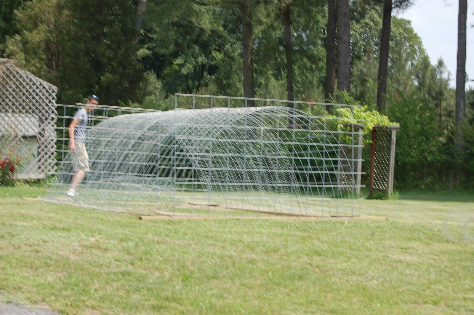 acorn farms: chicken tractor