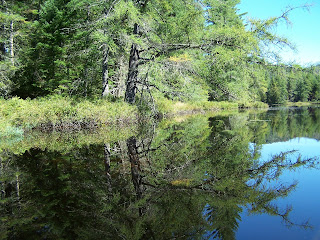Quiet Kayaking in New York State: Nicks Lake, part one