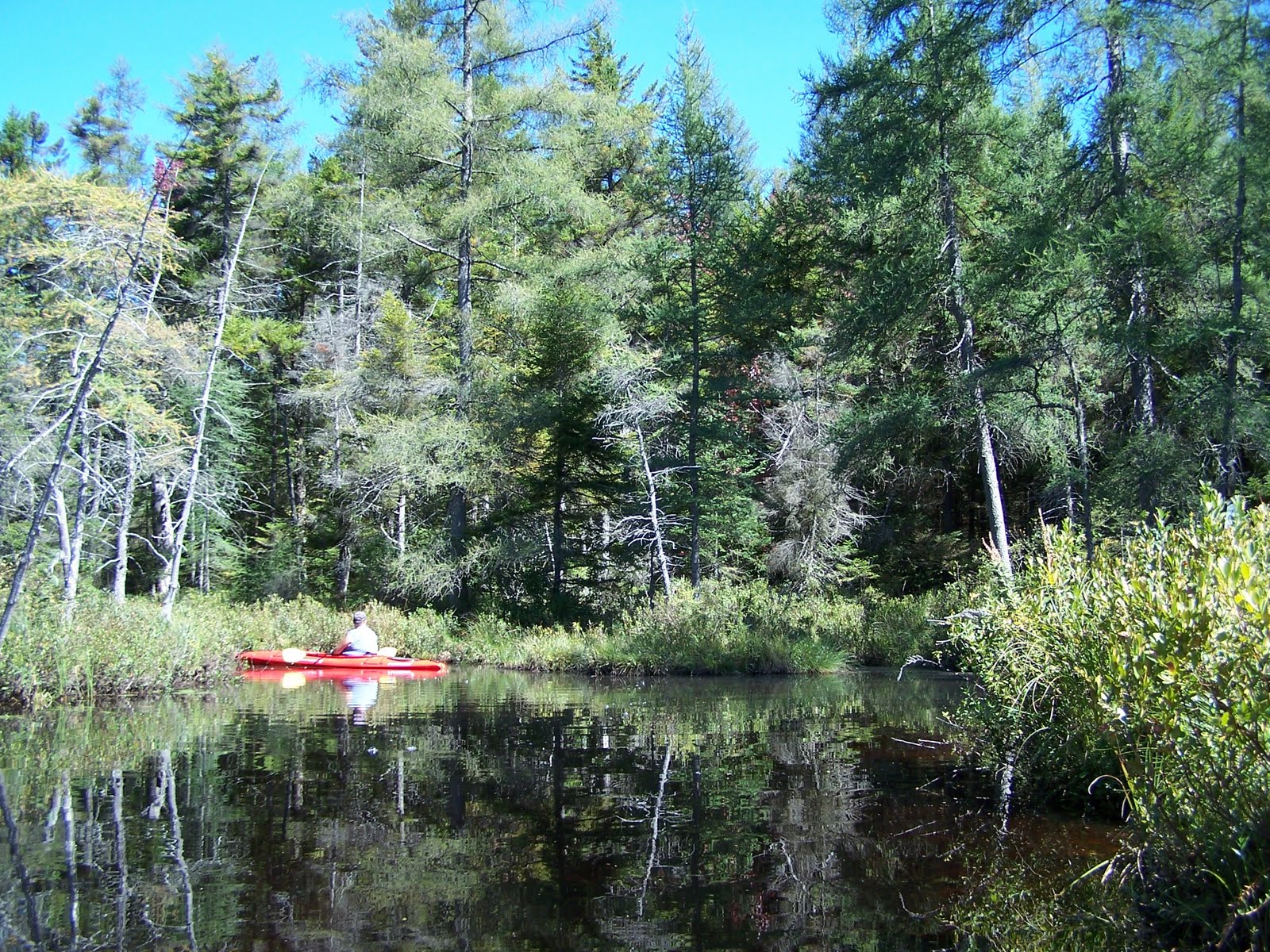 Quiet Kayaking in New York State: Nicks Lake, part one