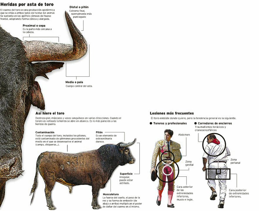 Asta de toro – Mesa para la cama