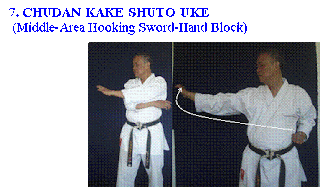 Basic Techniques of Shotokan Karate: UKE WAZA_Blocking Techniques ...