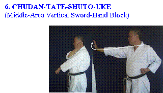 Basic Techniques of Shotokan Karate: UKE WAZA_Blocking Techniques ...