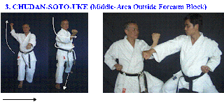 Basic Techniques of Shotokan Karate: UKE WAZA_Blocking Techniques ...