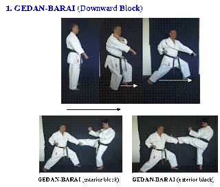 Basic Techniques of Shotokan Karate: UKE WAZA_Blocking Techniques ...