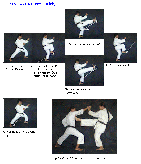 Basic Techniques of Shotokan Karate: GERI-WAZA_Foot and Leg Striking ...