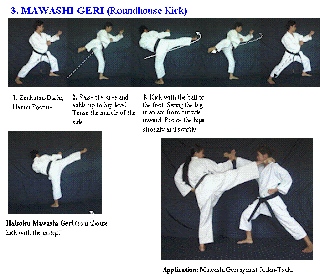 Basic Techniques of Shotokan Karate: GERI-WAZA_Foot and Leg Striking ...