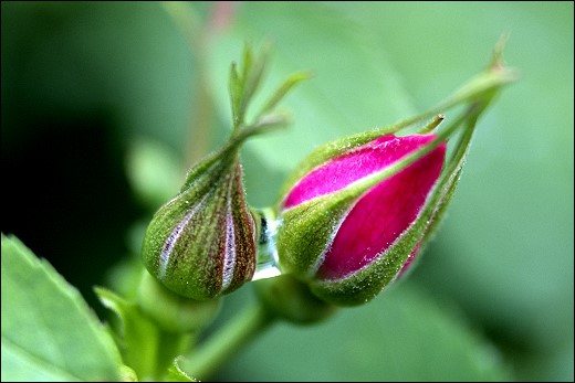 Devotions for the Seasons of Life: March 2010