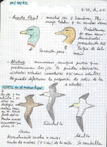 CUADERNO DE CAMPO
