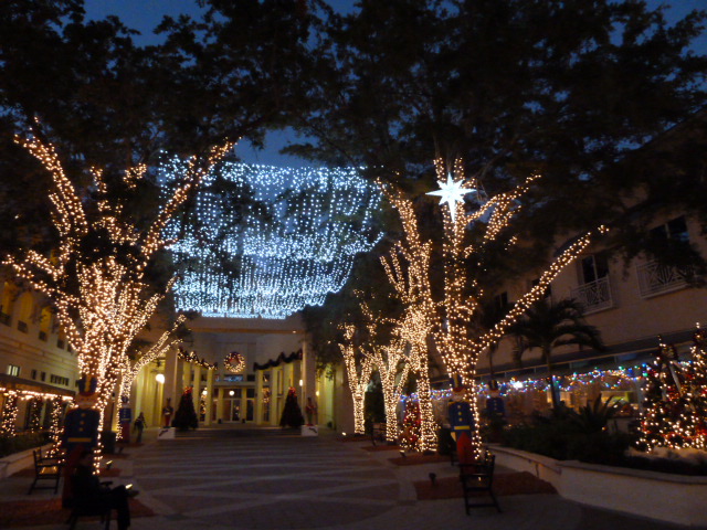 Where's Eldo?: Florida Christmas Spirit and Naples at Night