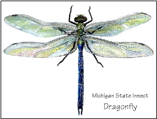 SHORT FAMILY: Michigan