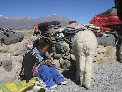 Peru: Altiplano (1)