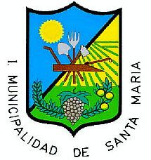 Winter Sun: El Color del Día