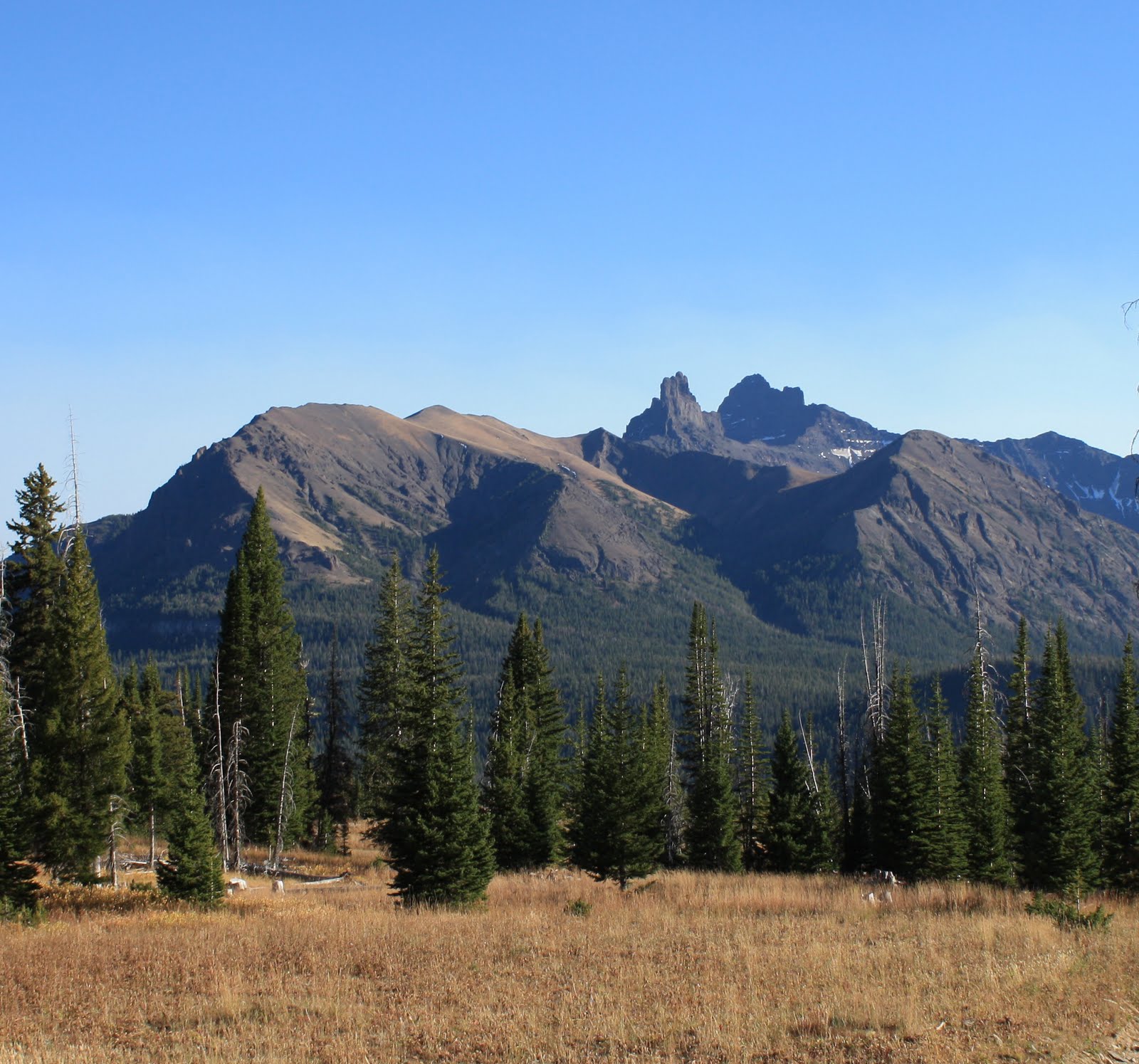 Living and Dyeing Under the Big Sky: Autumn Flashback - Beartooth ...