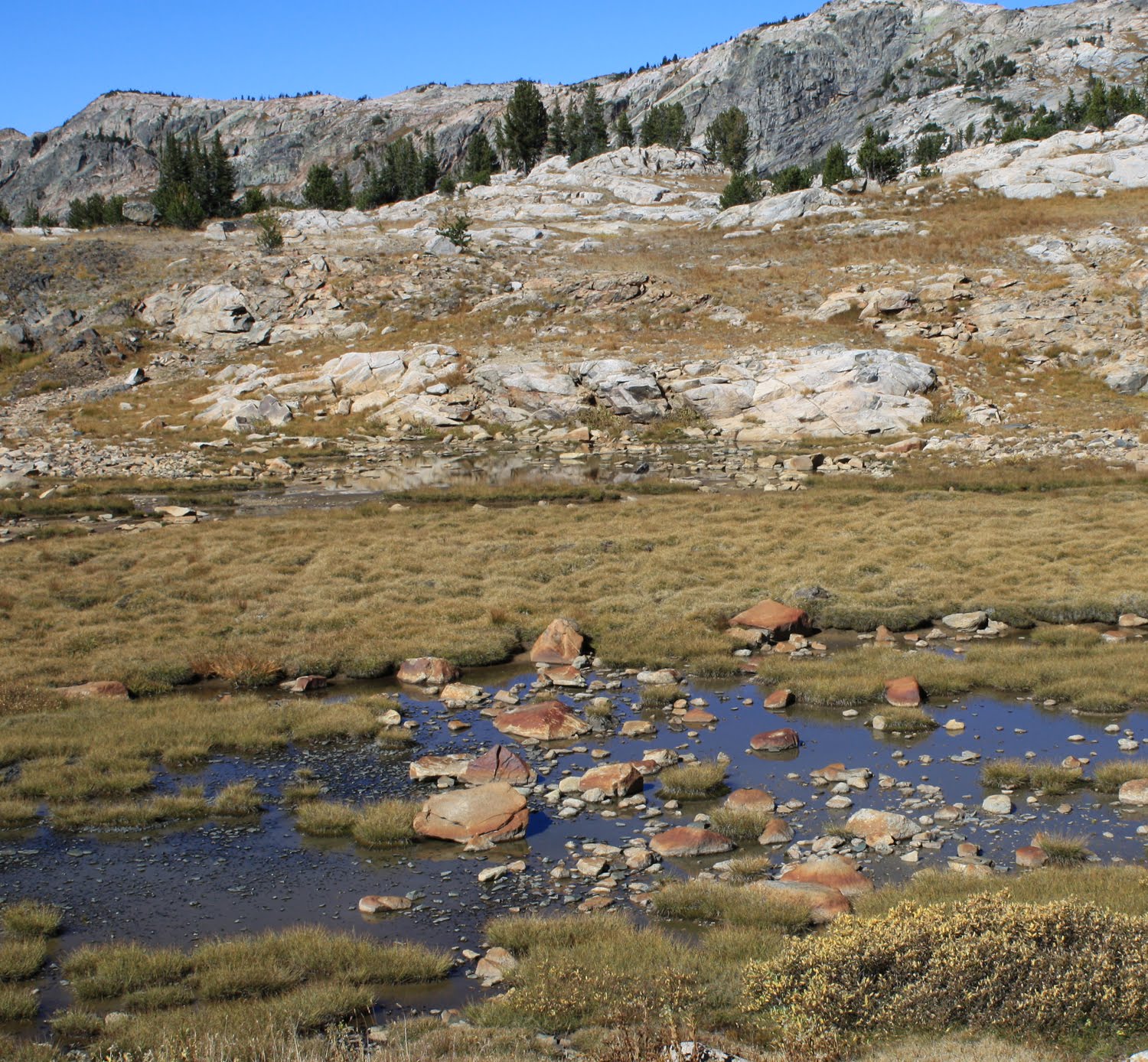 Living and Dyeing Under the Big Sky: Travel Log Tuesday - Goose Lake Trail